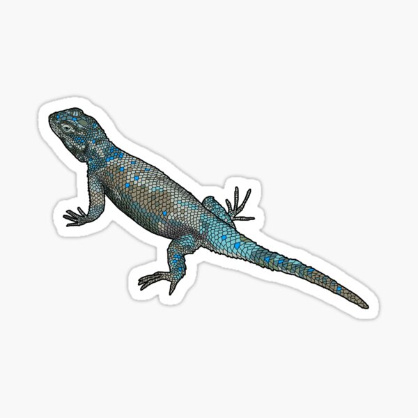 "Eastern Collared Lizard" Sticker for Sale by SeeThePets | Redbubble