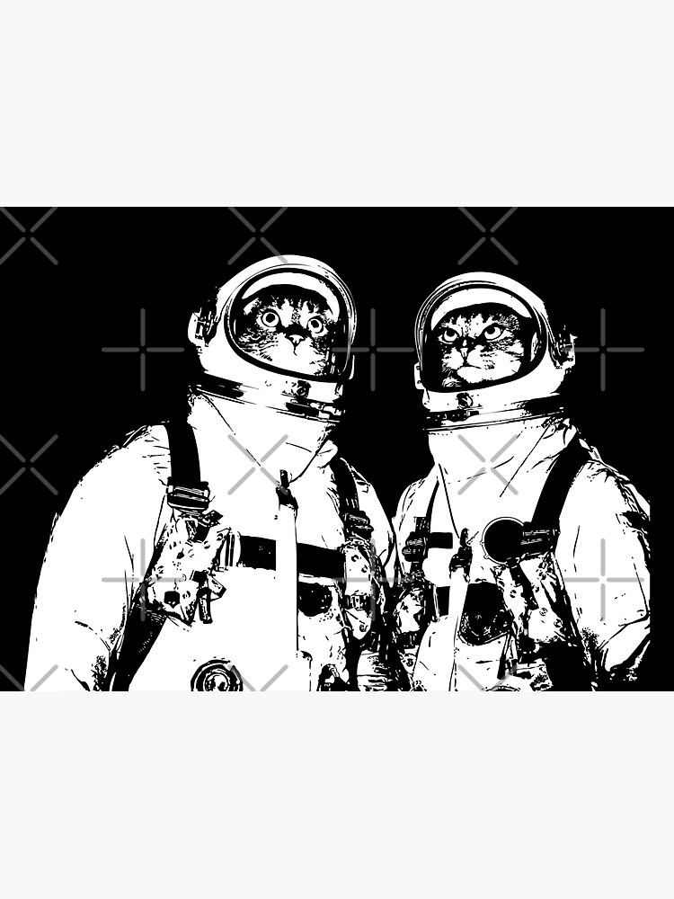 "Catstronauts" Sticker for Sale by orinemaster | Redbubble