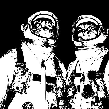 "Catstronauts" Sticker for Sale by orinemaster | Redbubble
