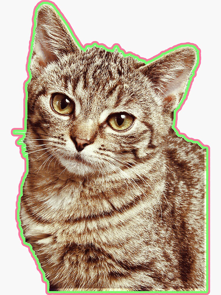 "Cat Meow" Sticker for Sale by LeandroSousa | Redbubble