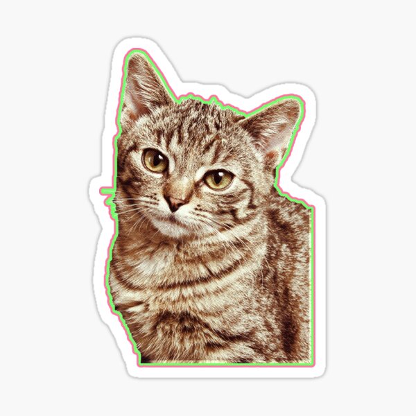 "Cat Meow" Sticker for Sale by LeandroSousa | Redbubble