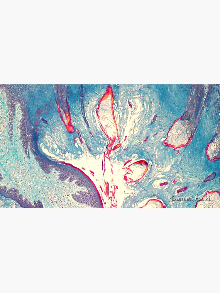 ""Hot Tongue"" Sticker for Sale by Damien Harkin | Redbubble