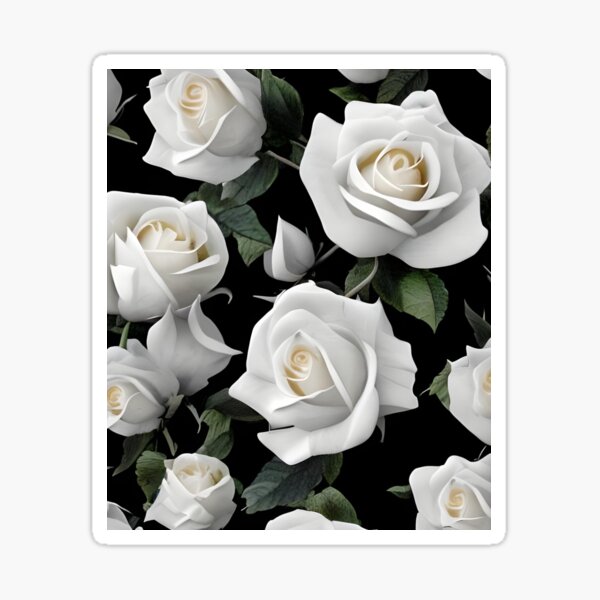 "Beautiful white rose flower artwork" Sticker for Sale by ...