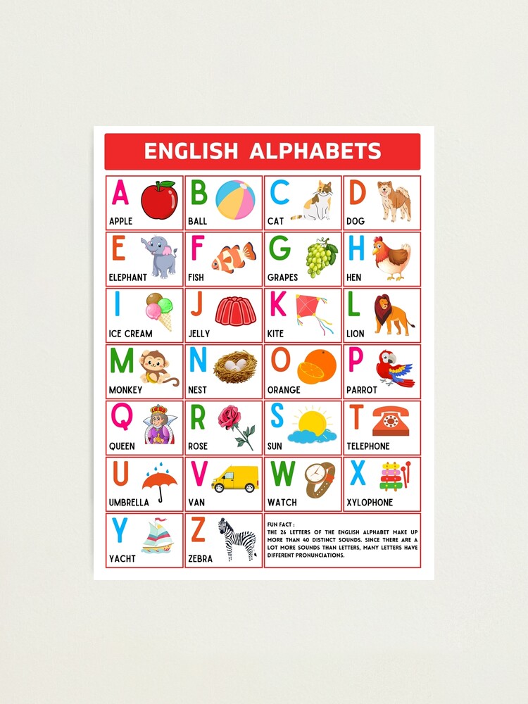 "English Alphabet Chart Illustration Design 26 Alphabets in English ...