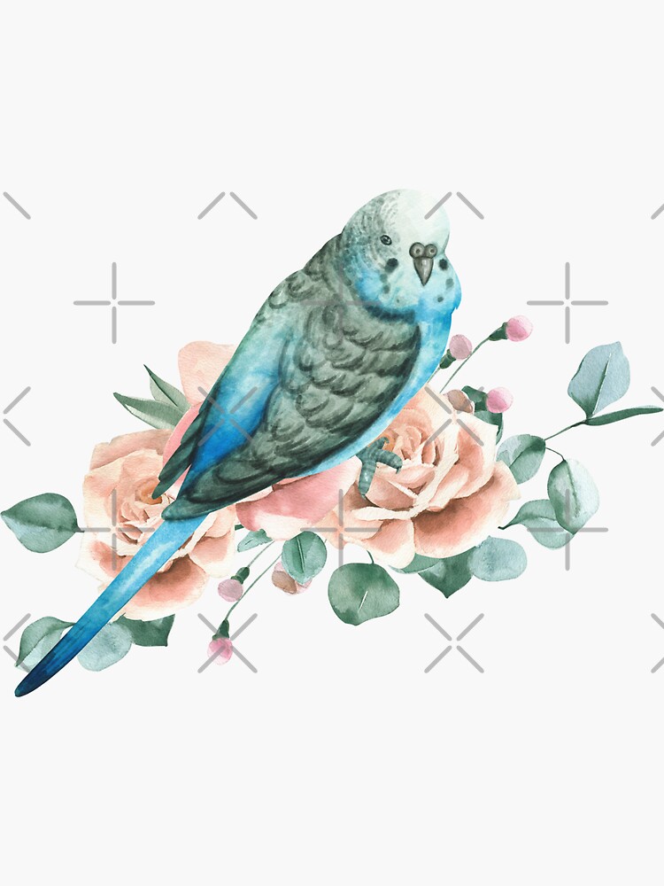 "Blue Budgie Shirt , Blue Parakeet Shirt , Budgie Lovers Gift , Budgie ...