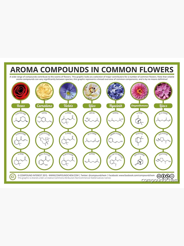 Póster «La química de los aromas de flores» de compoundchem | Redbubble