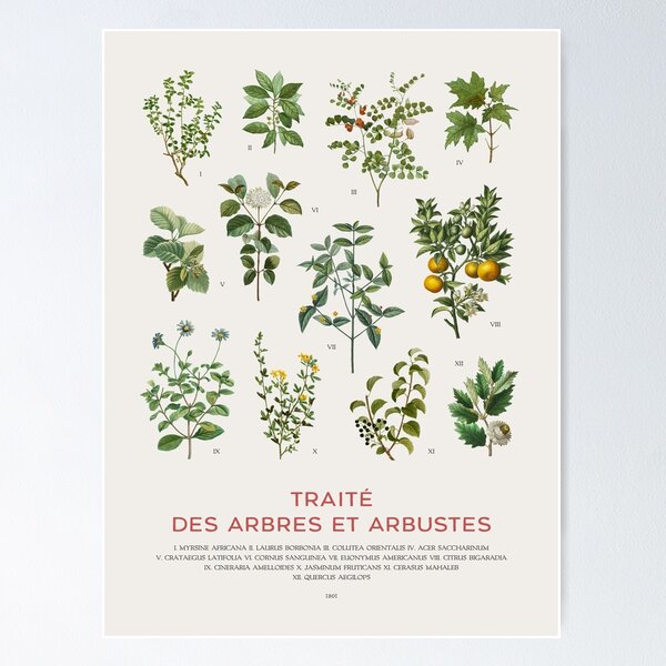 "Trees and Shrubs chart" Poster for Sale by Vintagrafica | Redbubble