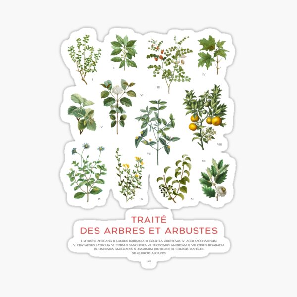 "Trees and Shrubs chart" Sticker for Sale by Vintagrafica | Redbubble