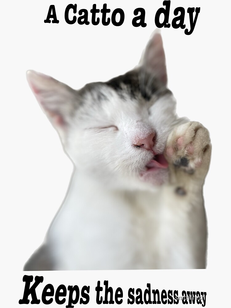 "A Catto a day Keeps the sadness away Funny Cat Licking Face" Sticker ...
