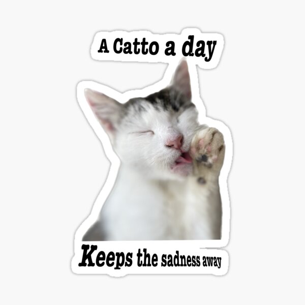 "A Catto a day Keeps the sadness away Funny Cat Licking Face" Sticker ...