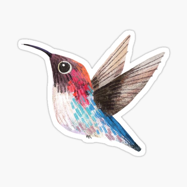 "Bee Hummingbird" Sticker for Sale by stephfizerc | Redbubble
