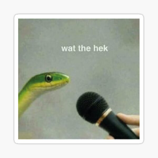 "What The Hek meme" Sticker for Sale by Memes44 | Redbubble