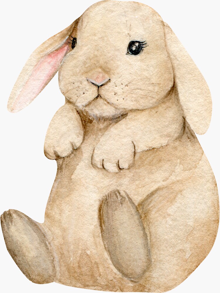"Cute sad bunny" Sticker for Sale by goldenlolly1 | Redbubble