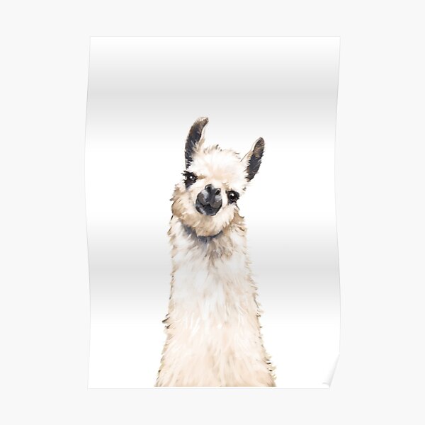 Alpaca Posters | Redbubble
