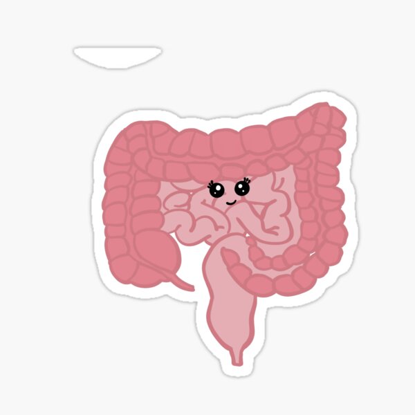 "Cute intestines " Sticker for Sale by Mermaidssparkle | Redbubble