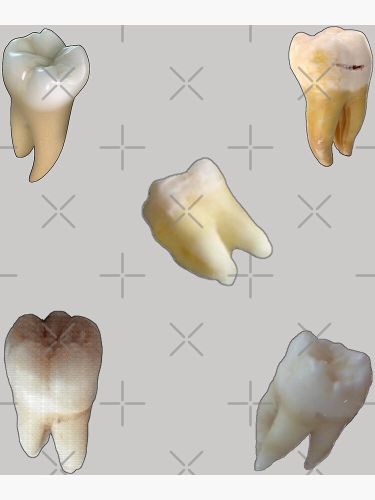 "teeth sticker pack (5) set" Poster for Sale by redakhatib | Redbubble