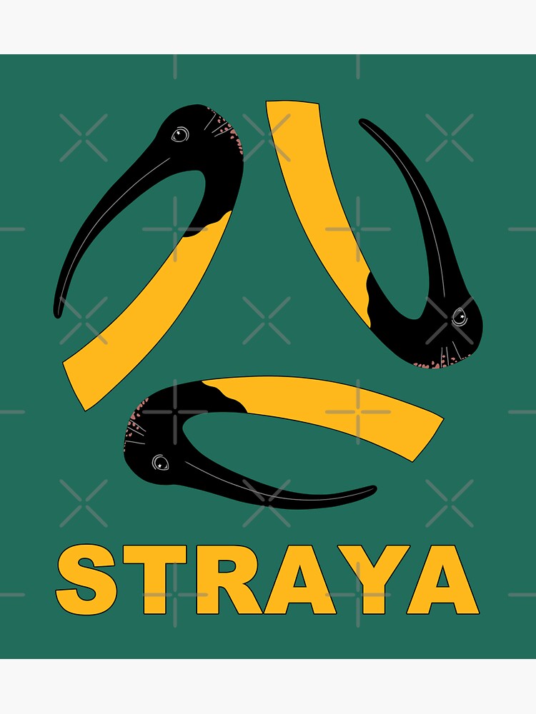"Straya Soccer Bin Chicken" Sticker for Sale by BinChickenBaby | Redbubble