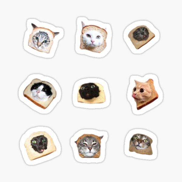 "Funny cats bread meme lol sticker bundle pack " Sticker for Sale by ...