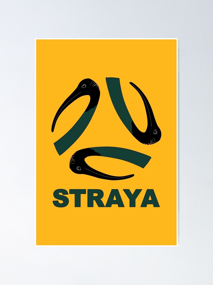 "Straya Soccer Bin Chicken" Poster for Sale by BinChickenBaby | Redbubble
