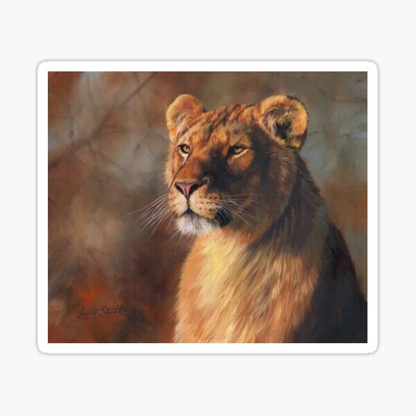"Portrait of a Lioness" Sticker for Sale by davidstribbling | Redbubble