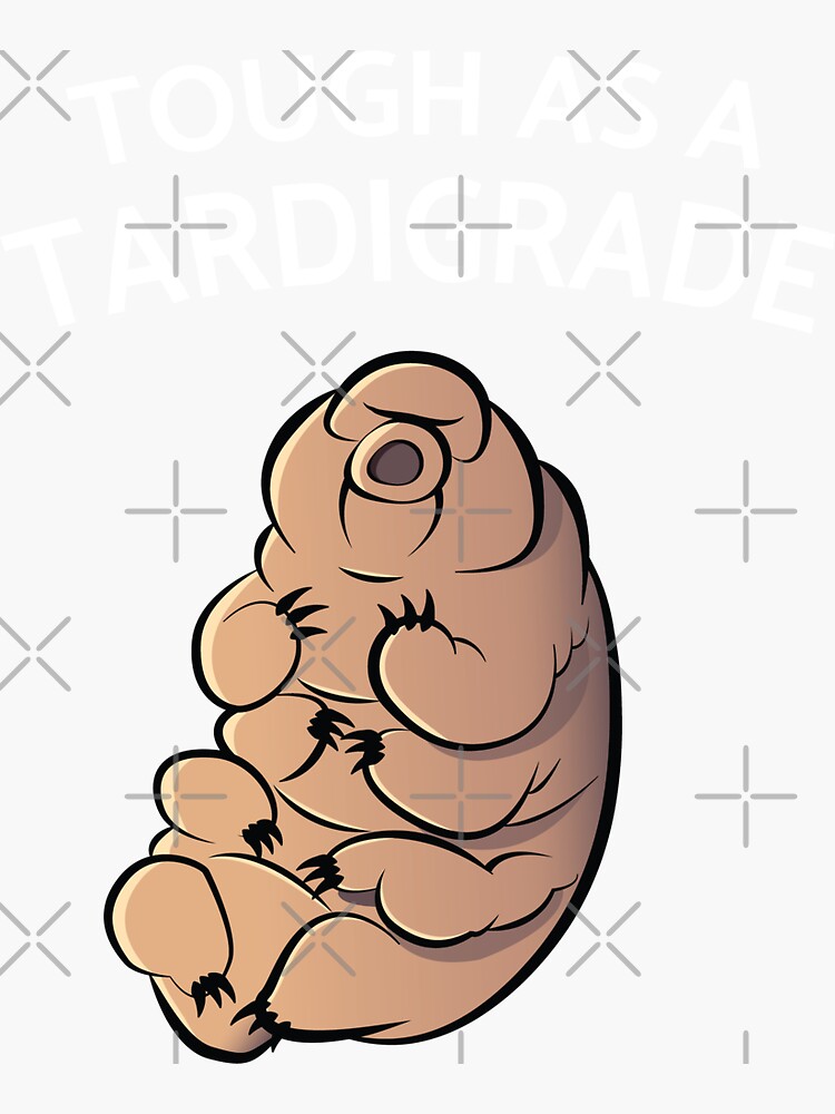 "Touch As A Tardigrade Tardigrade" Sticker for Sale by mooon85 | Redbubble