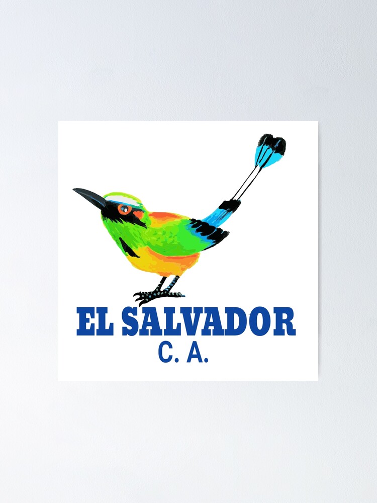 "Torogoz from El Salvador" Poster for Sale by paisajetropical | Redbubble
