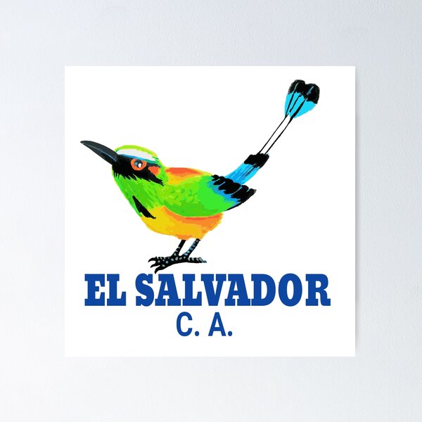 "Beautiful Torogoz bird" Poster by paisajetropical | Redbubble