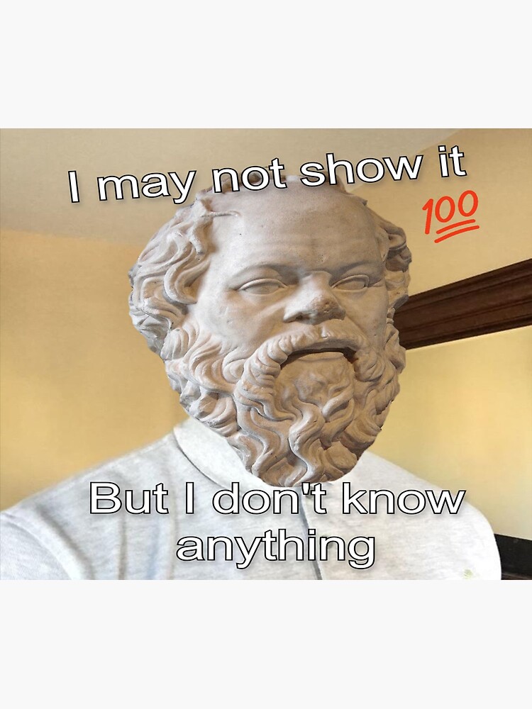 "I may not show it but I don't know anything (Socrates Meme ...