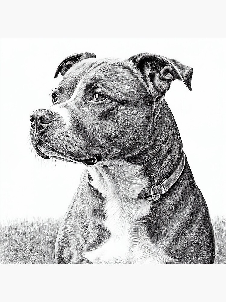 "Staffy Dog | Bull Terrier" Framed Art Print for Sale by 3yros | Redbubble