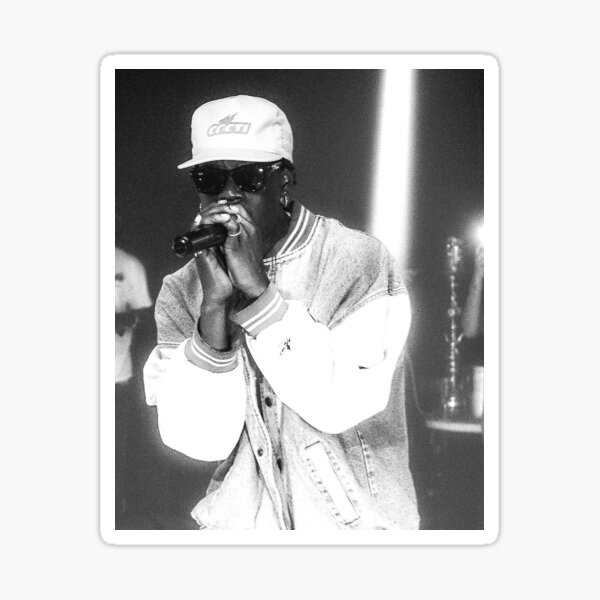 "Rema" Sticker for Sale by Ashleylxshl | Redbubble