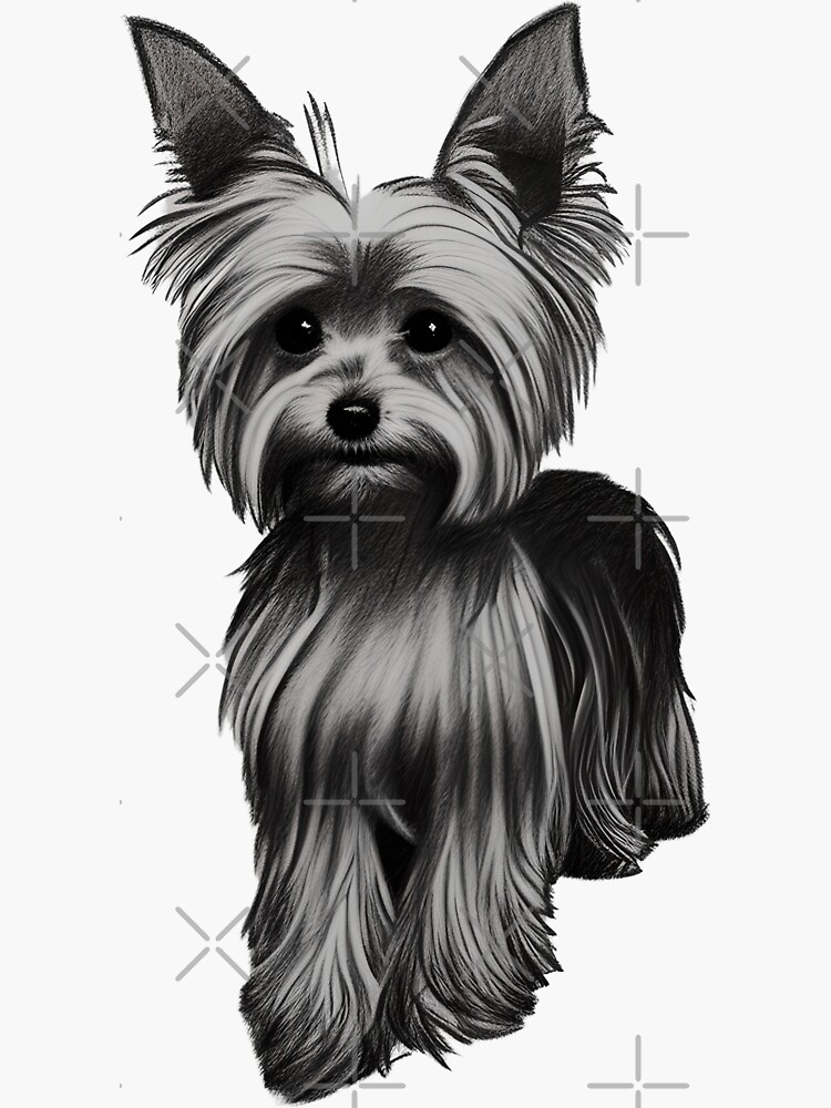 "Elegant Yorkie Drawing Black and White, Best Yorkshire Terrier Gifts ...