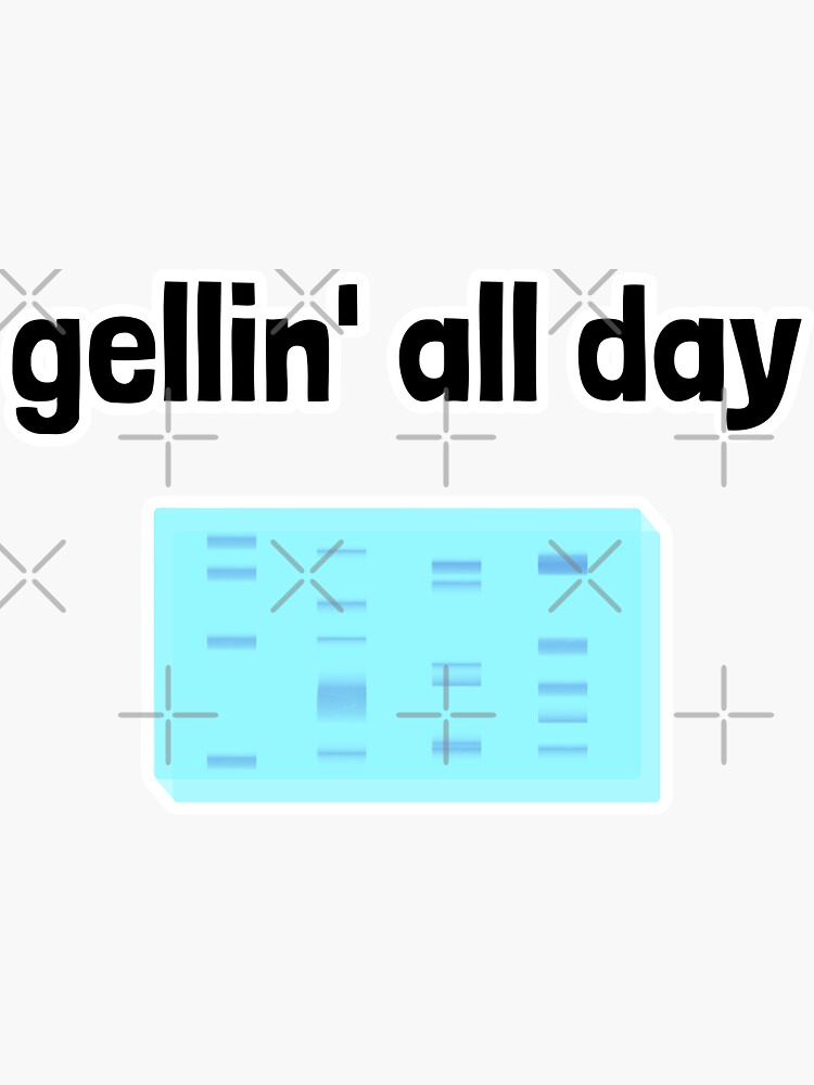 "Gellin' All Day" Sticker for Sale by artsy-chemist | Redbubble