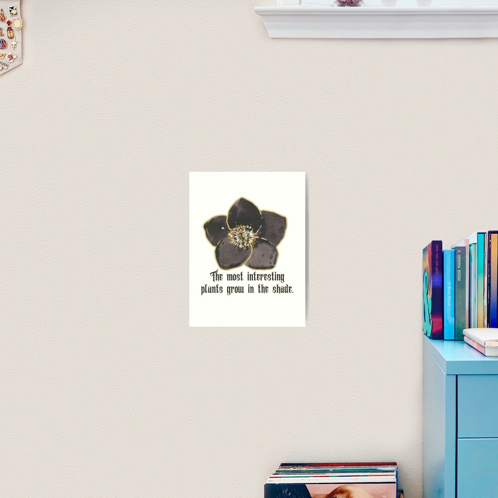 "The most interesting plants grow in the shade [Wednesday inspired ...