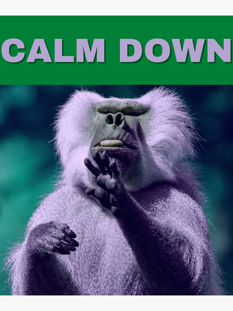 "Calm down by my friend over here" Sticker for Sale by 360files | Redbubble