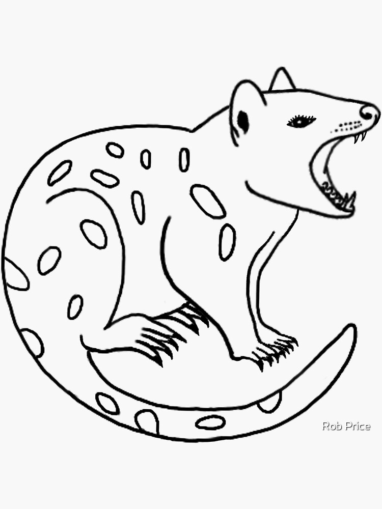 "Tiger Quoll / Spotted Tailed Quoll" Sticker for Sale by wanungara ...