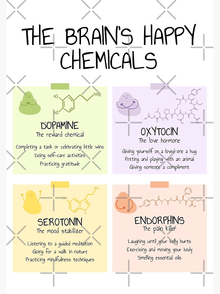 "Happy Brain Hormones Happiness Chemicals DIGITAL Therapy Print Office ...