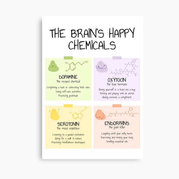 "Happy Brain Hormones Happiness Chemicals DIGITAL Therapy Print Office ...