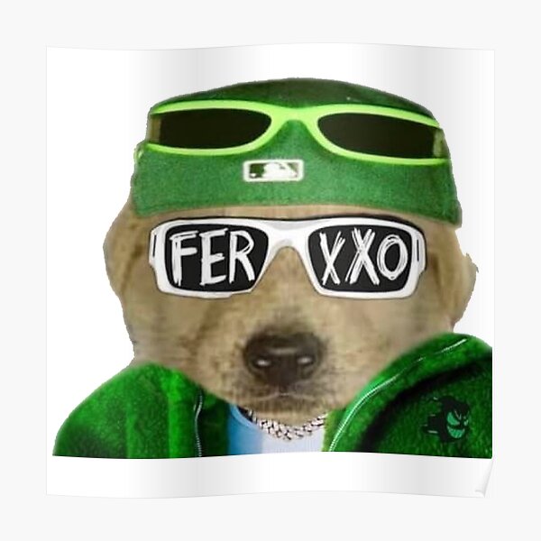 "Ferxxo glasses logo" Poster for Sale by pintiita | Redbubble