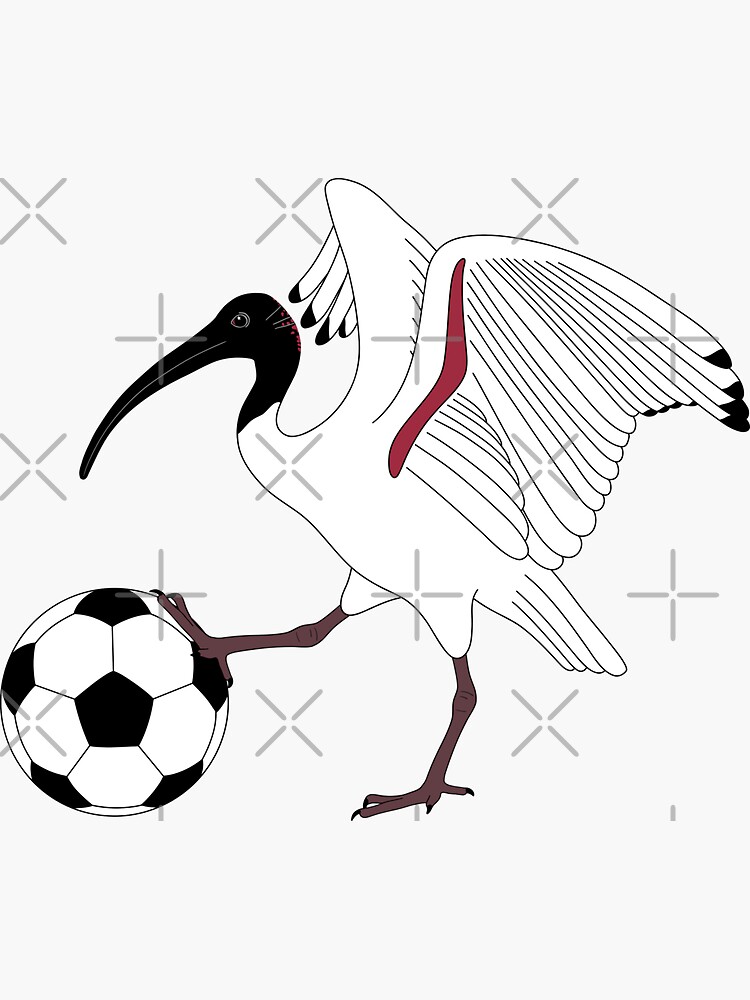"Bin Chicken Playing Soccer" Sticker for Sale by BinChickenBaby | Redbubble