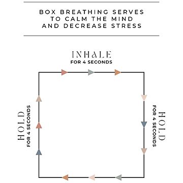 "Box Breathing | Earthy on White | Grounding Breathing Techniques for ...
