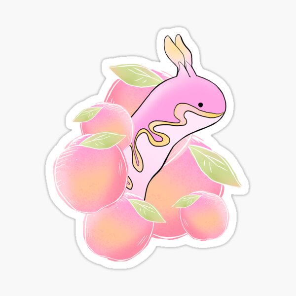 "Peach Sea Slug / Seaslug" Sticker for Sale by Scribble-LeviJo | Redbubble