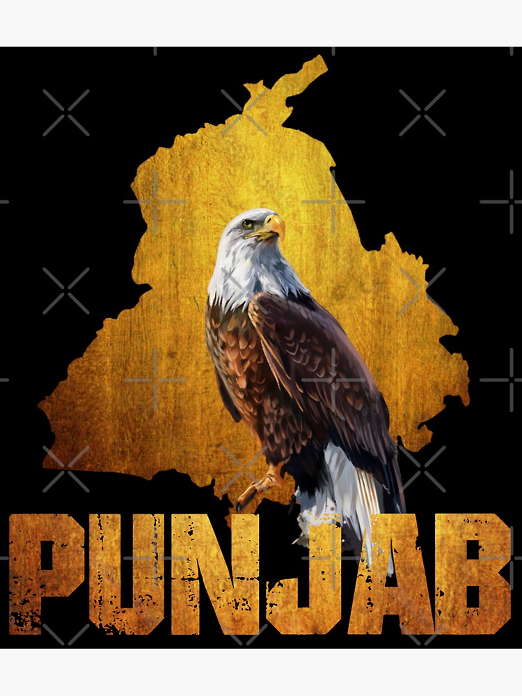 "Punjab" Sticker for Sale by vpaints | Redbubble