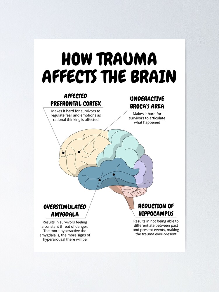 "How Trauma Affects The Brain Therapist Office Decor PTSD Recovery CBT ...