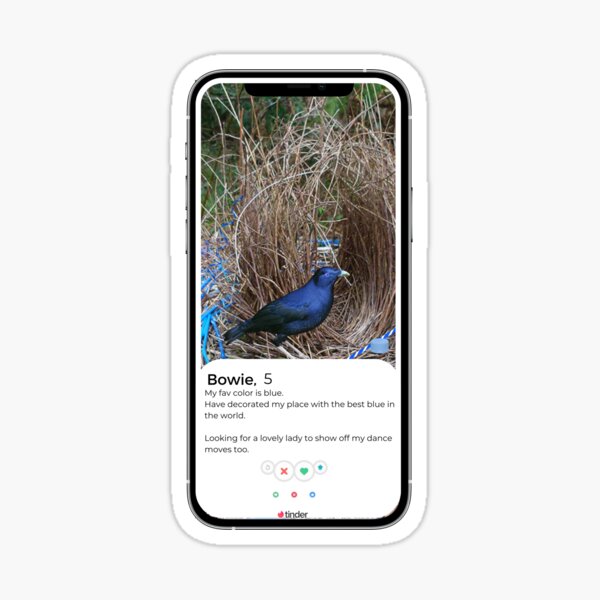 "Bowie - Tinder Profile" Sticker for Sale by gandalfnz | Redbubble