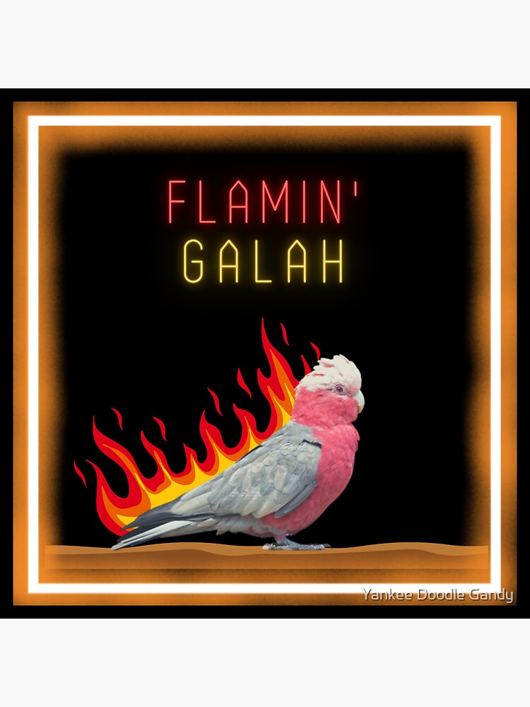 "Flamin' Galah" Sticker for Sale by gandalfnz | Redbubble