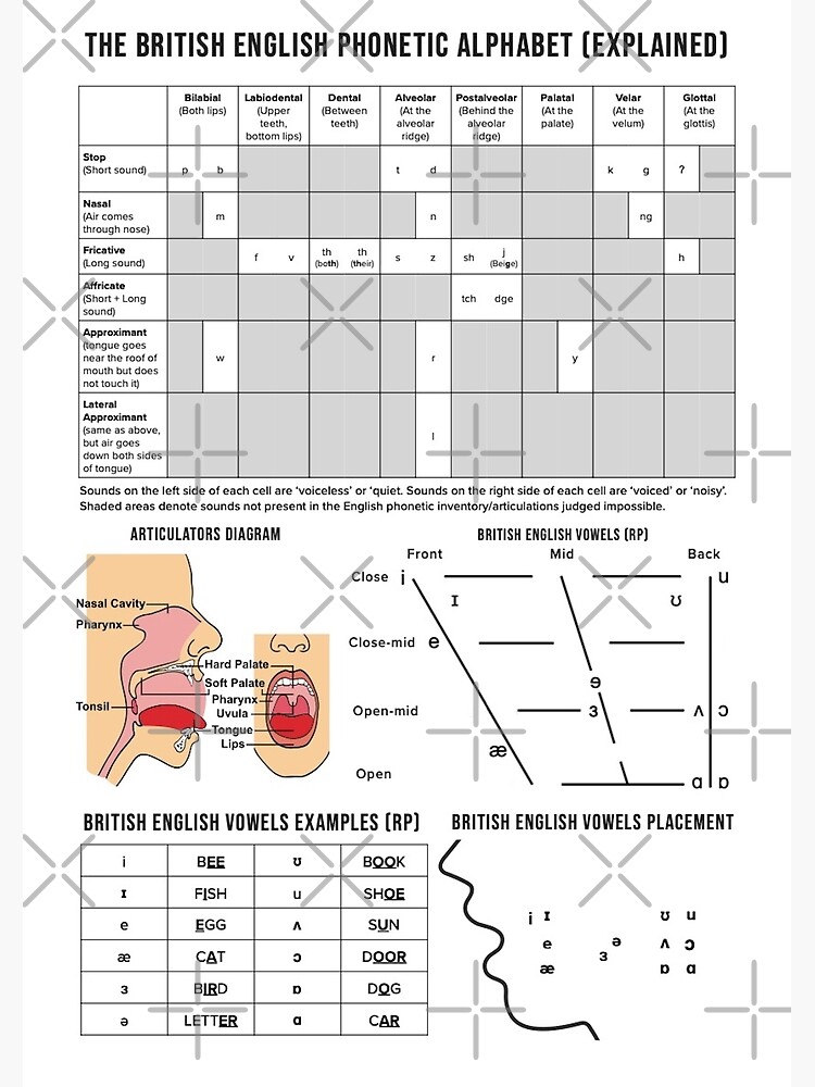 "IPA Chart Explained" Poster for Sale by Bododobird | Redbubble