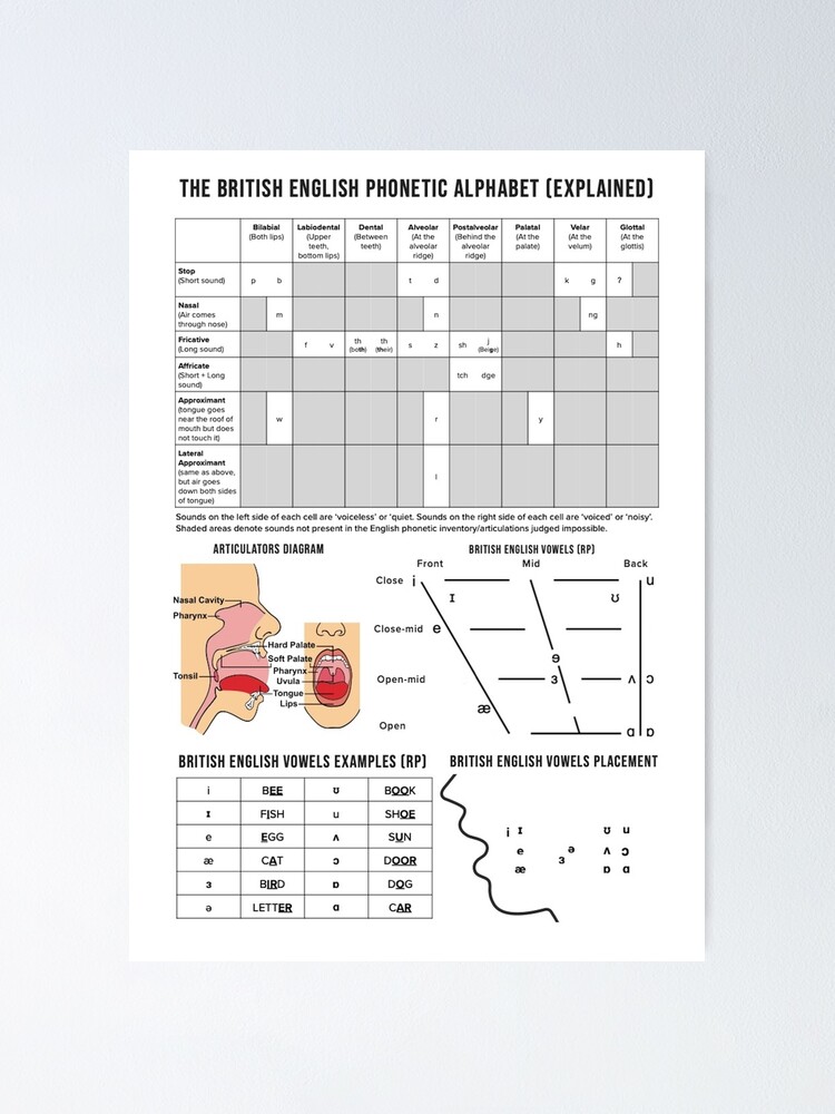 "IPA Chart Explained" Poster for Sale by Bododobird | Redbubble
