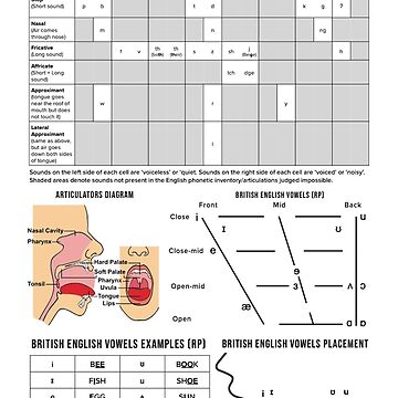 "IPA Chart Explained" Poster for Sale by Bododobird | Redbubble