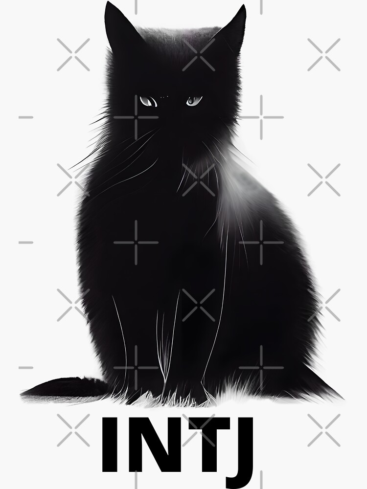 "INTJ" Sticker for Sale by khnifssa | Redbubble
