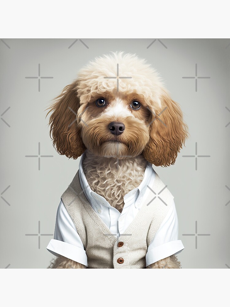 "Tobias - Graphic Designer Cavapoo Dog" Poster for Sale by zoomzoomies ...